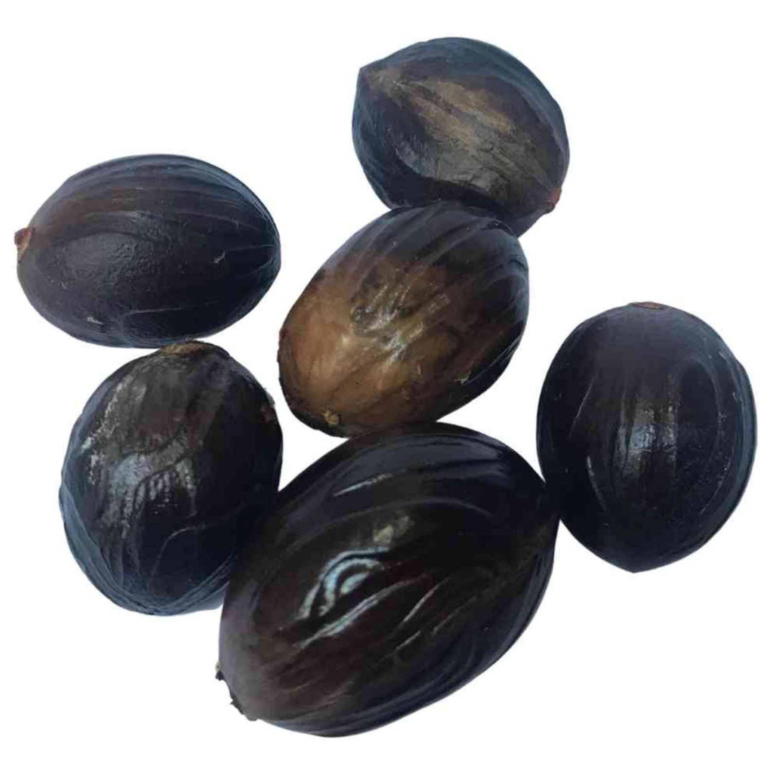 Fresh Kerala Nutmeg with Shell 40g – Authentic Kerala